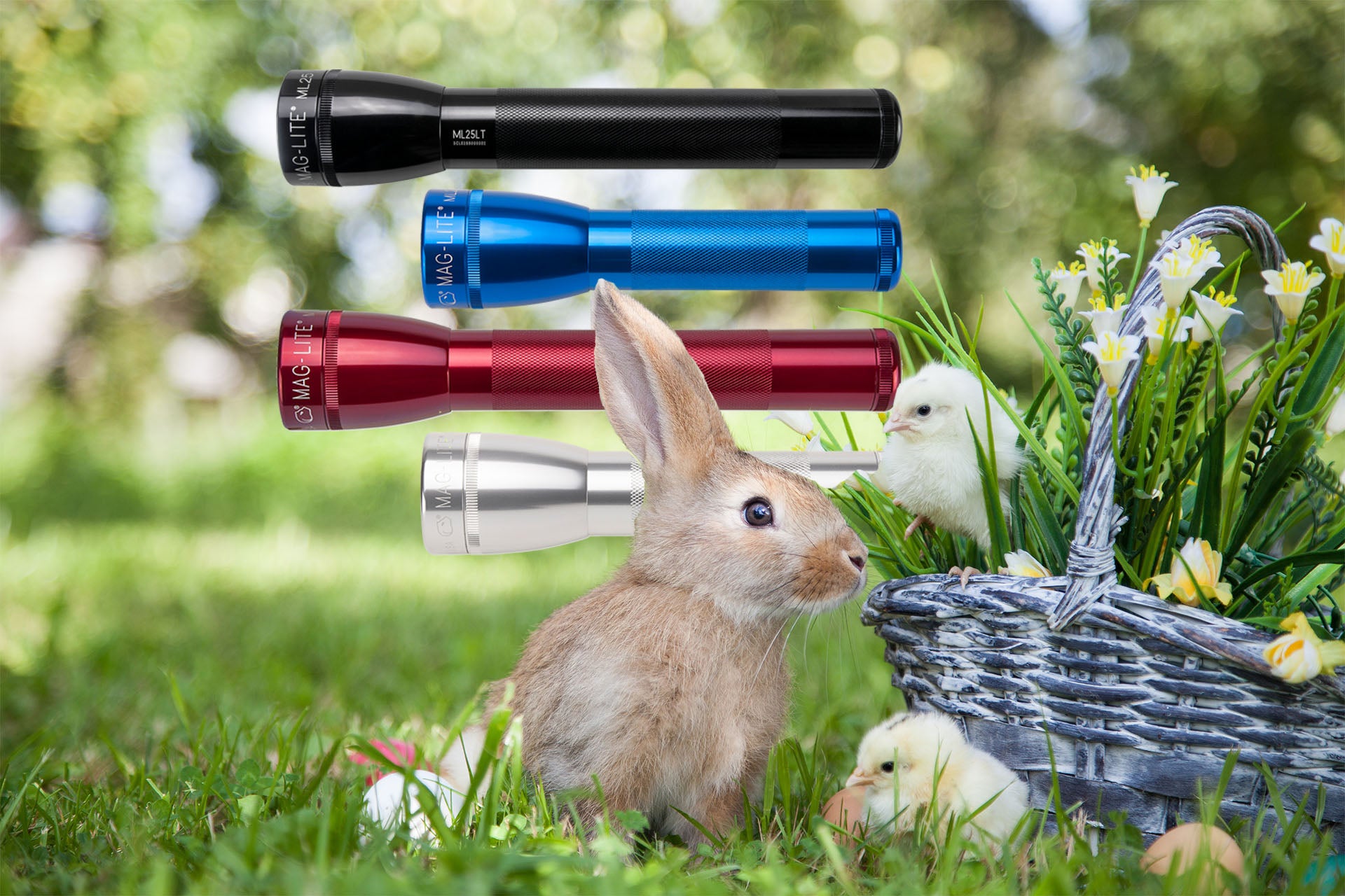 MAGLITE® Europe Shop | Direct from the manufacturer